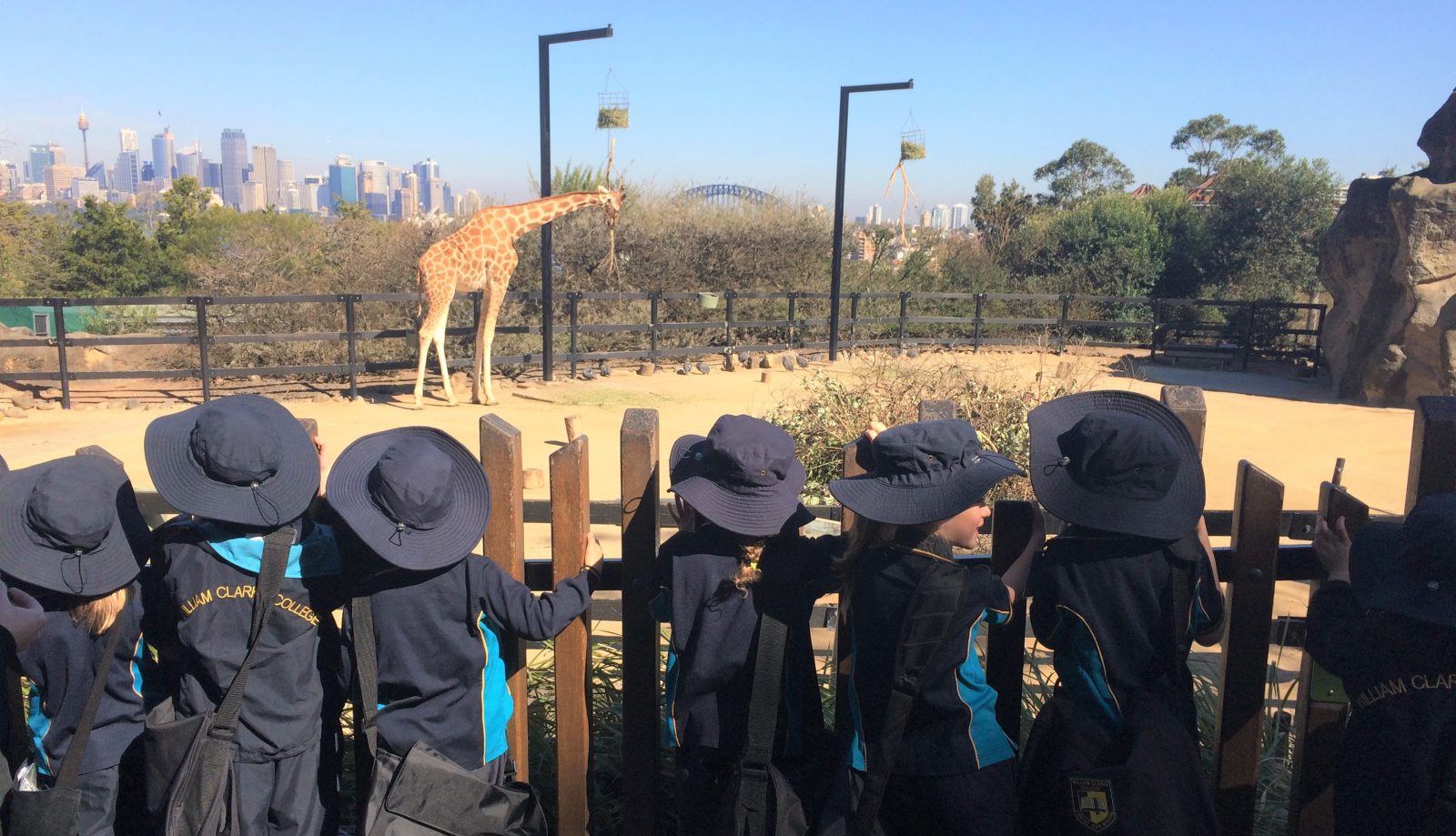 Kindergarten visit the Zoo - William Clarke College